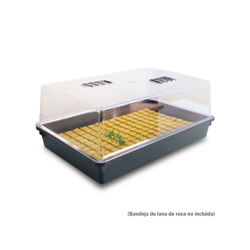 Pack propagacion - Terpeno Maldito - Grow Shop en Valladolid